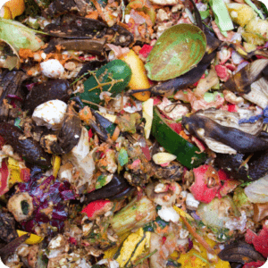 The Future of Food Production. Now | Modular Insect Farming For Animal ...