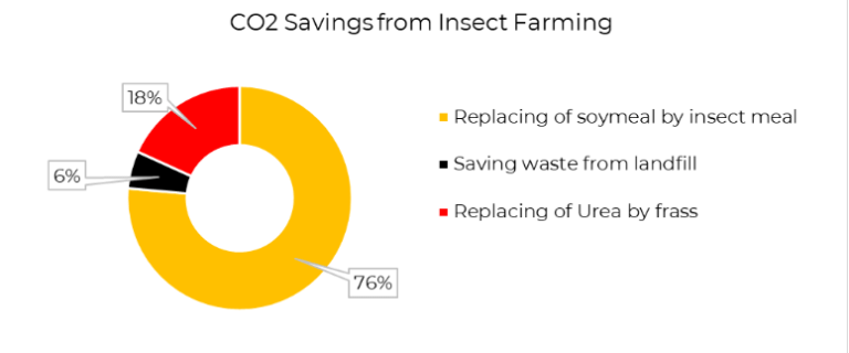 Insect Farming: What Is It & How Does It Work